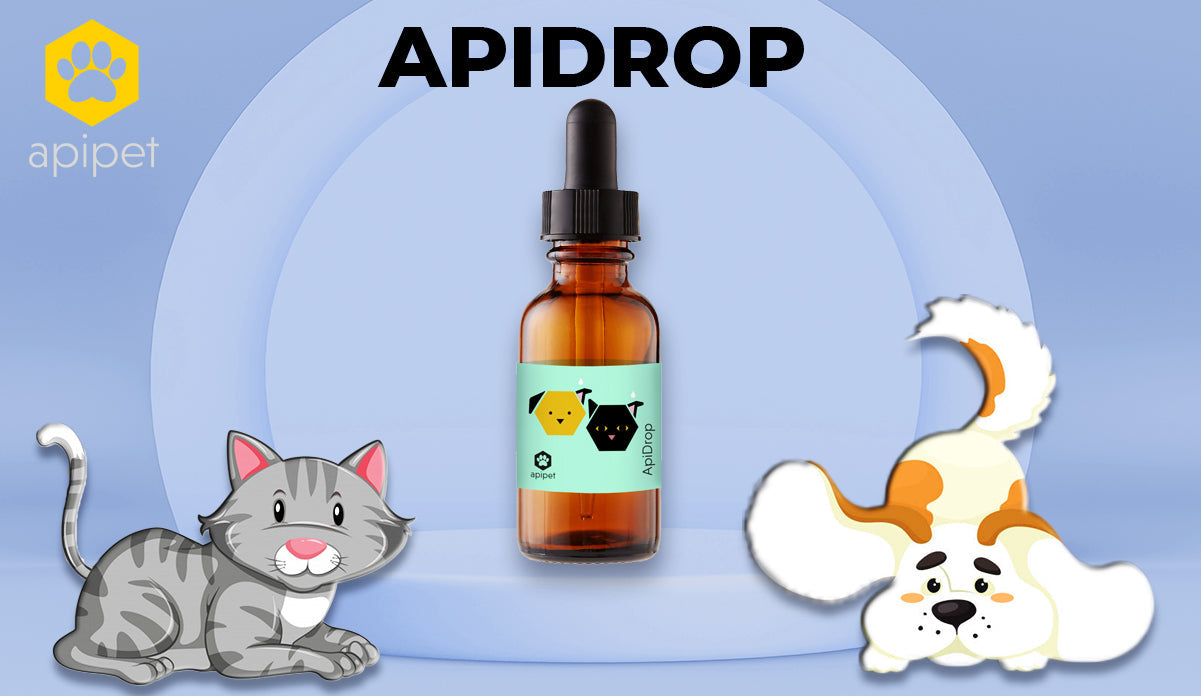 PREDSTAVLJAMO: ApiDrop - prirodne antibakterijske kapi – Apipet